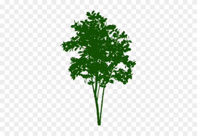Free: Small Tree Symbol - Small Tree Png - nohat.cc