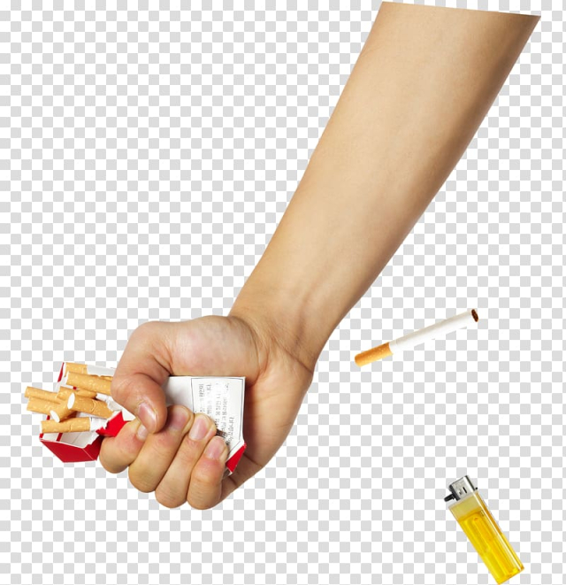 Free: Smoking cessation Smoking ban, Smoke and lighter transparent ...