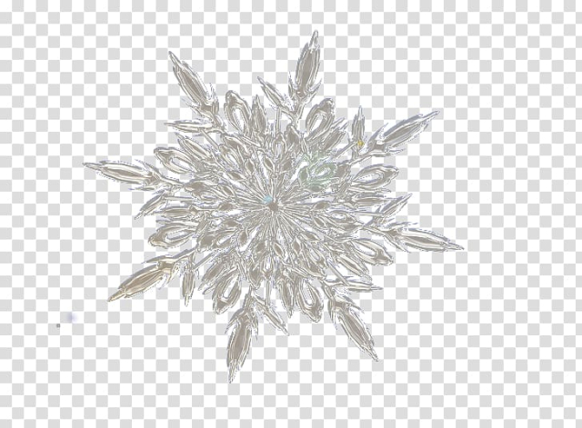 White Snowflake Transparent Background