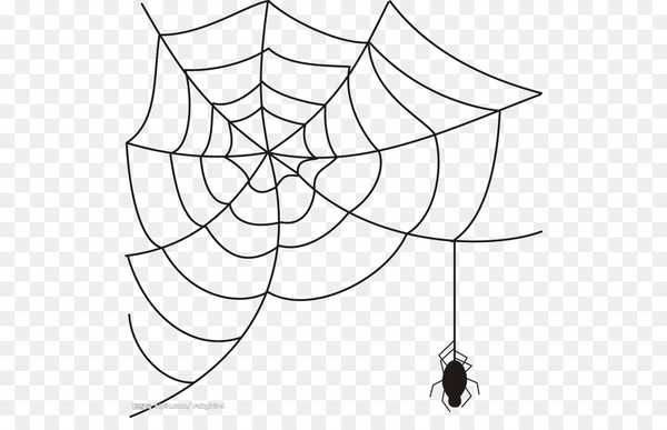 Free: Spider web Clip art - spider - nohat.cc