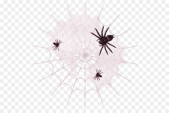 Free: Spider web Halloween Boszorkxe1ny - Pink spider web png download ...