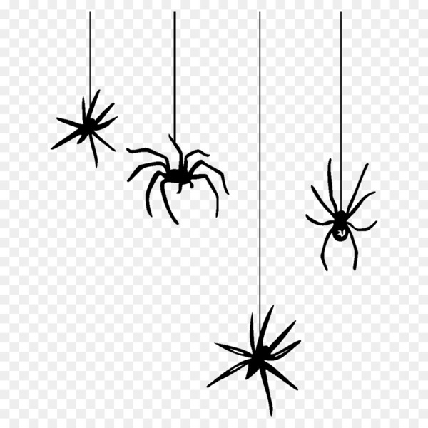 Free: Spider web Halloween Clip art - spider - nohat.cc