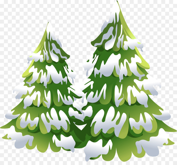 Free: Spruce Fir Tree Drawing Clip art - tree - nohat.cc
