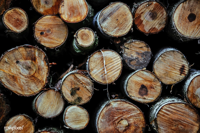 Free: Stacked timber | Free stock photo - 435760 - nohat.cc