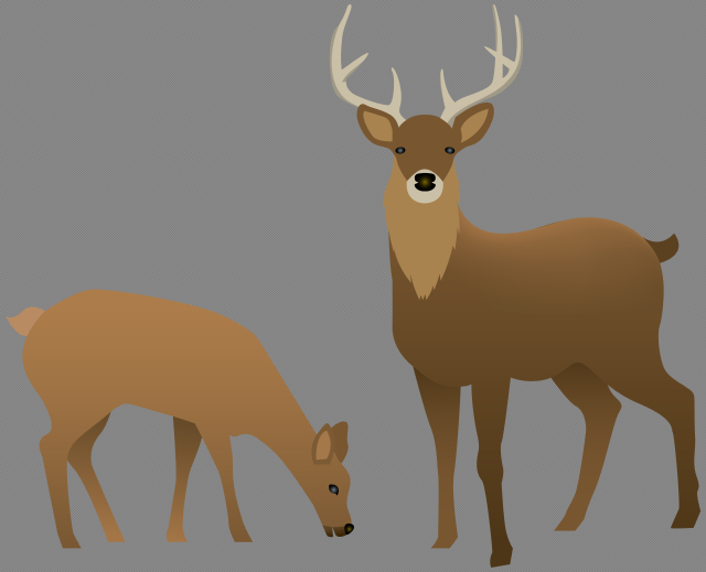 Free: Stag and Doe Transparent PNG Image | Gallery Yopriceville - High ...