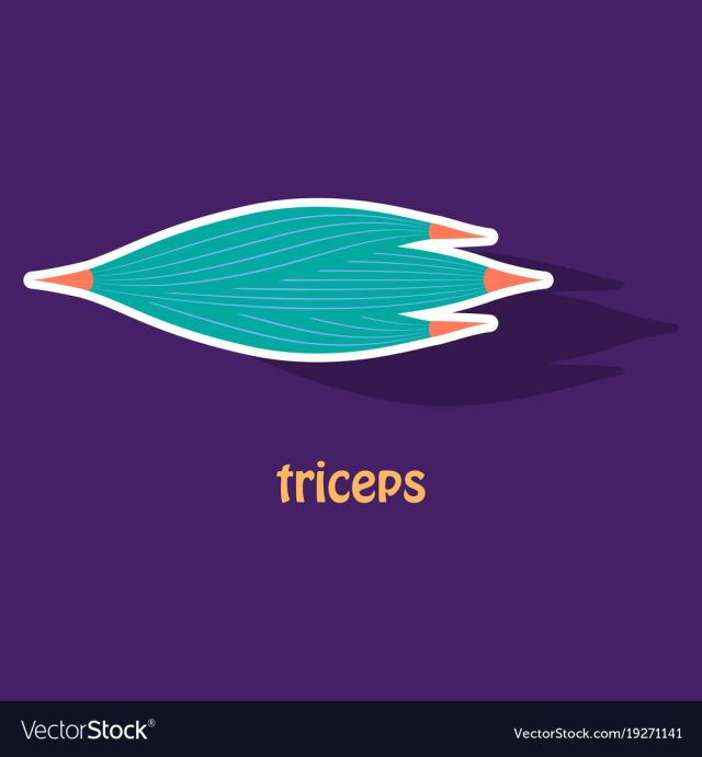 Free: Sticker medical of human arm muscles vector image - nohat.cc