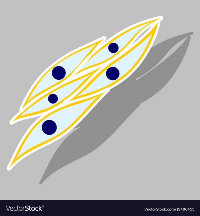 Free: Sticker showing type of muscle cells vector image - nohat.cc