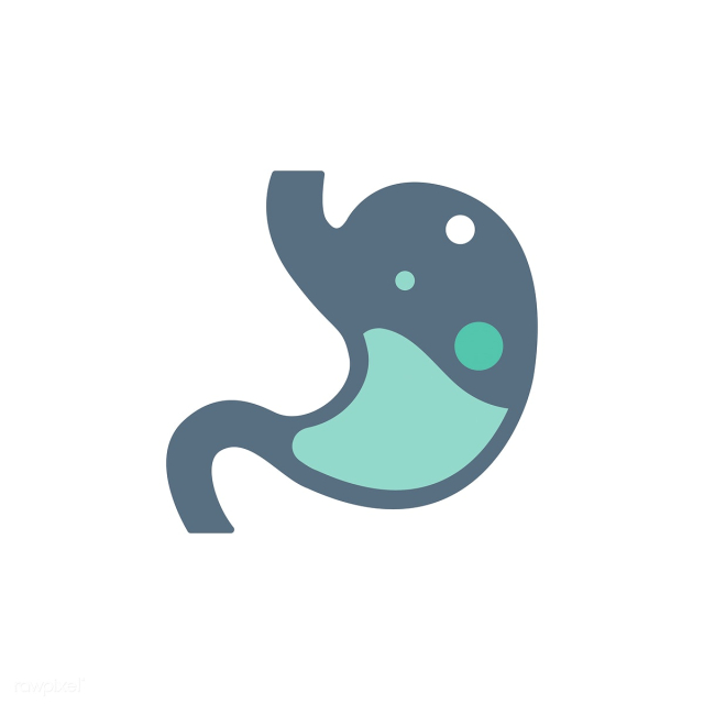 Free: Stomach digestion health | Free stock vector - 396744 - nohat.cc