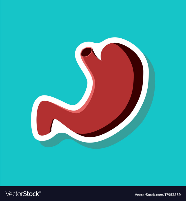Free: Stomach paper sticker on stylish background vector image - nohat.cc