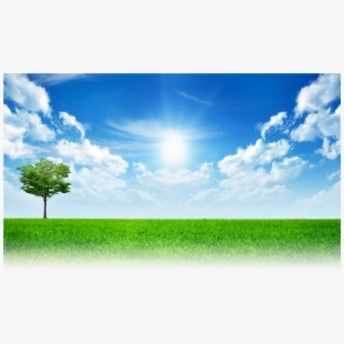 Free: Sunny Transparent Images Pluspng - Nature Background Images Hd ...
