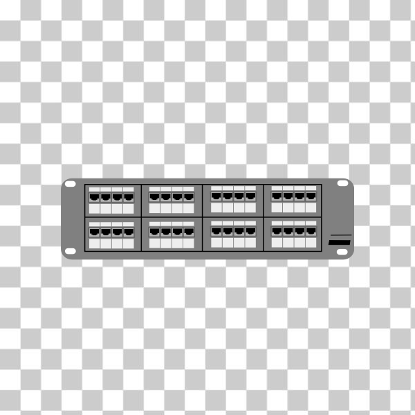 Free: SVG 32-port switch - nohat.cc