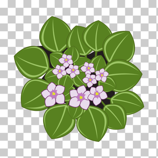 Free: SVG African violets with leaves vector clip art - nohat.cc