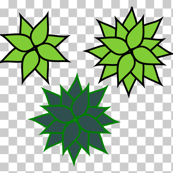 Free: SVG Agave - nohat.cc