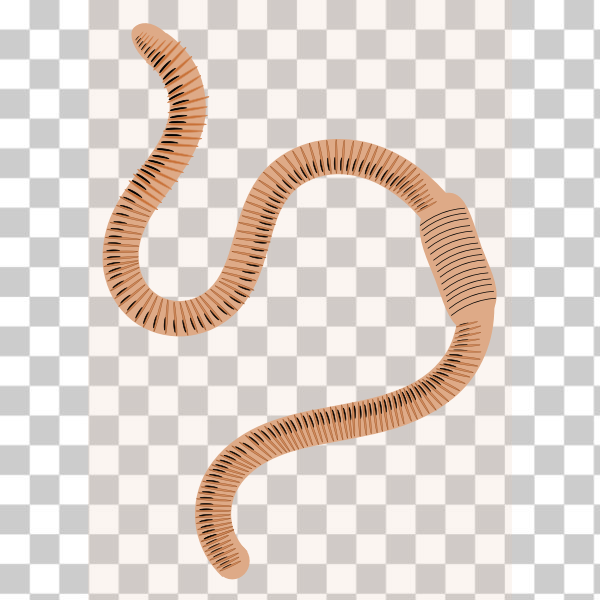 Free: SVG An earthworm - nohat.cc