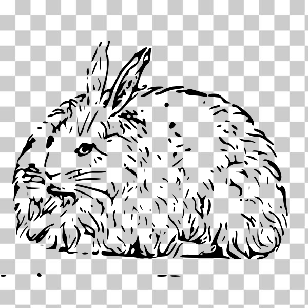 Free: SVG Angora rabbit - nohat.cc