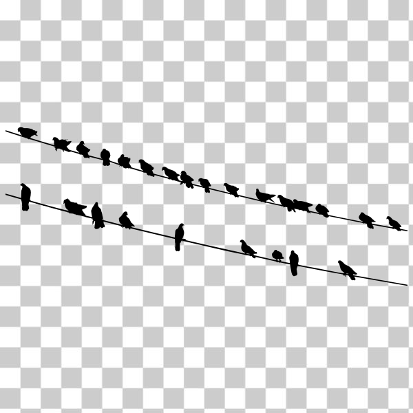 Free: SVG Birds on Wires Silhouette - nohat.cc