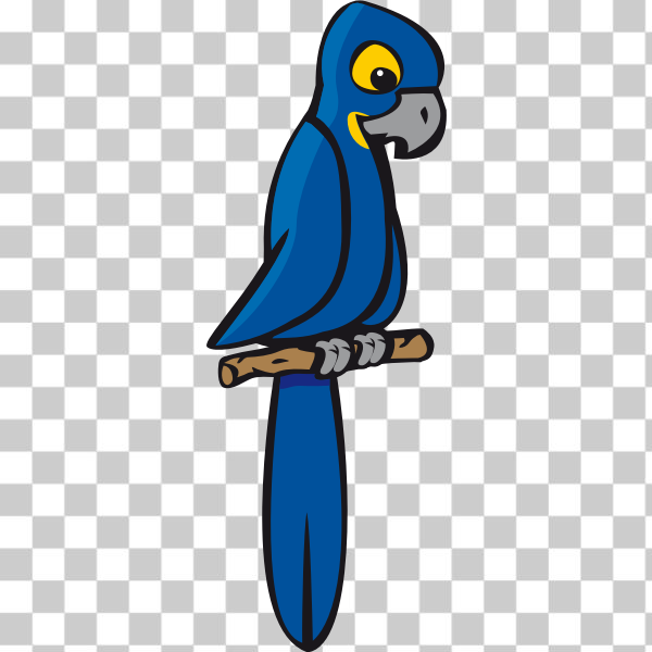 Free: SVG Blue macaw vector clip art - nohat.cc