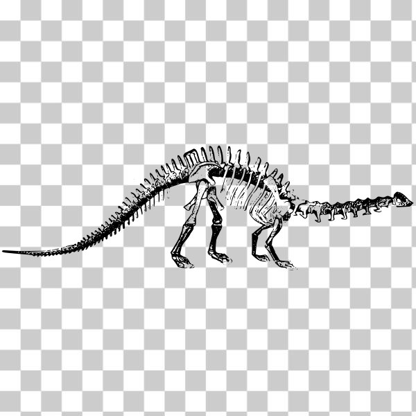 Free: SVG Brontosaurus skeleton - nohat.cc