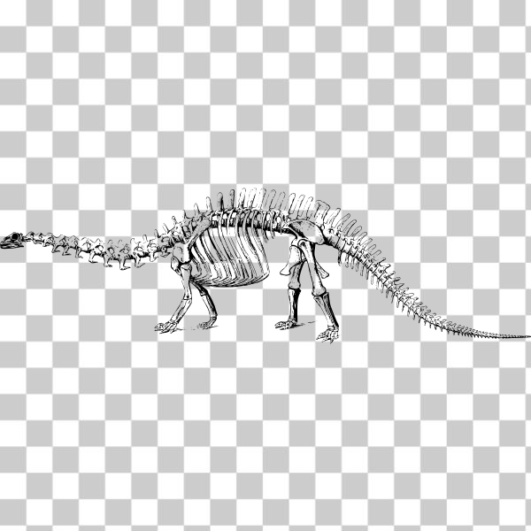 Free: SVG Brontosaurus skeleton vector clip art - nohat.cc