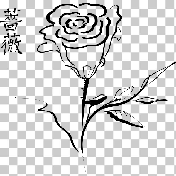 Free: SVG Calligraphic rose vector illustration - nohat.cc