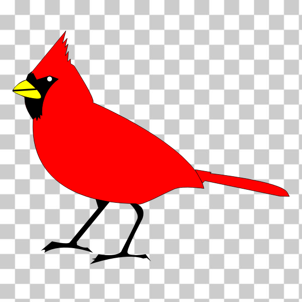 Free: SVG Cardinal bird vector clip art - nohat.cc