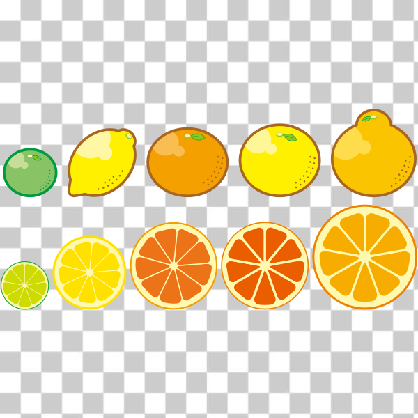 Free: SVG Citrus Fruits - nohat.cc