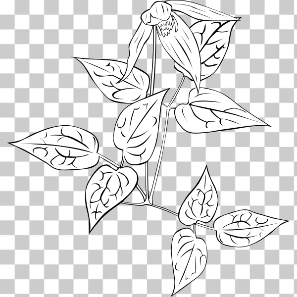 Free: SVG Coloring book flowers - nohat.cc