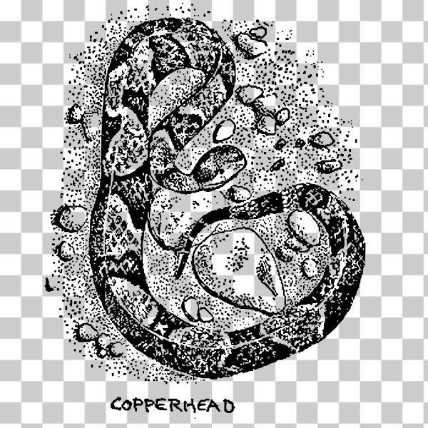 Free: SVG Copperhead snake - nohat.cc