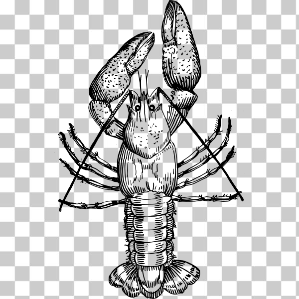 Free: SVG Crawfish - nohat.cc