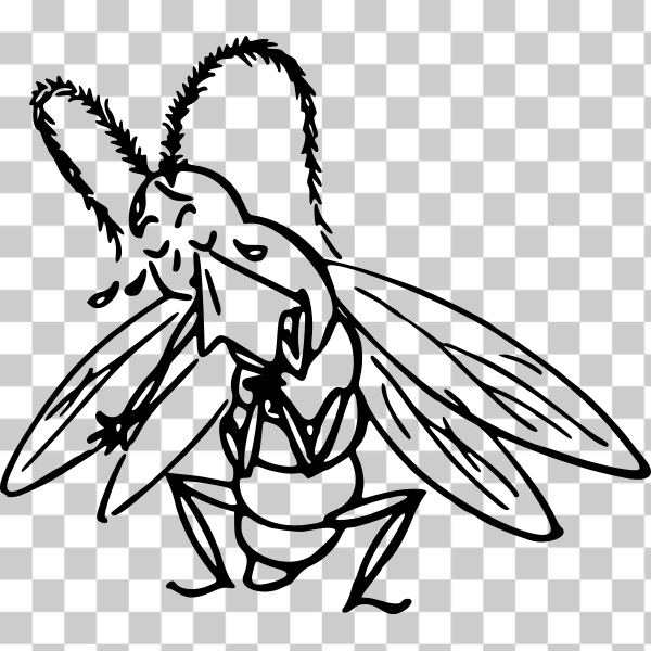 Free: SVG Crying insect - nohat.cc