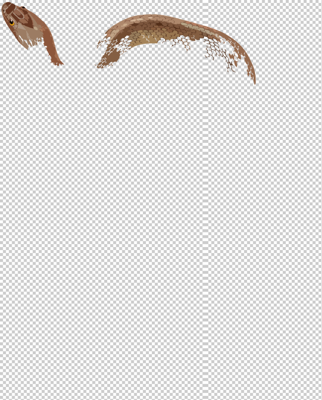 Free: SVG Cuban racer vector image - nohat.cc