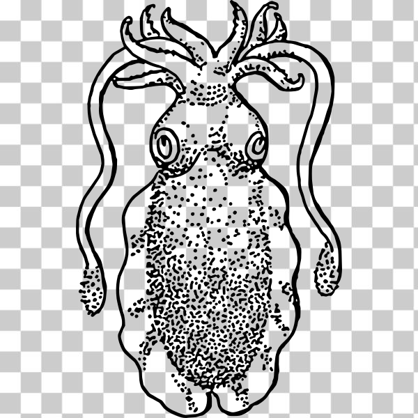 Free: SVG Cuttlefish - nohat.cc