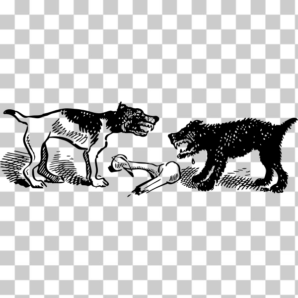 Free: SVG Dogs fight over bone vector illustration - nohat.cc