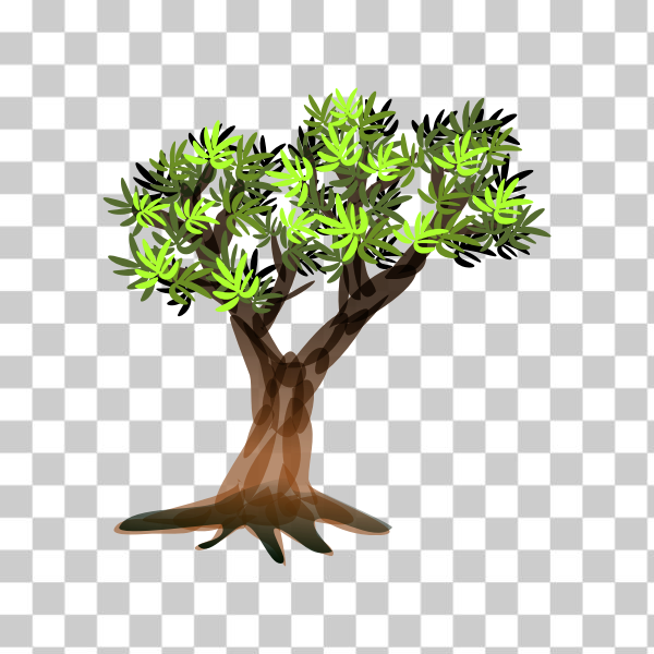Free: SVG Evergreen tree - nohat.cc