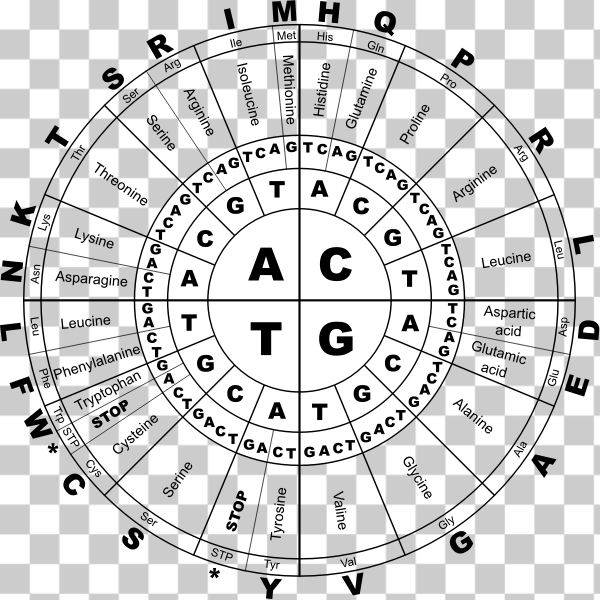 Free: SVG Genetic code BW vector illustration - nohat.cc