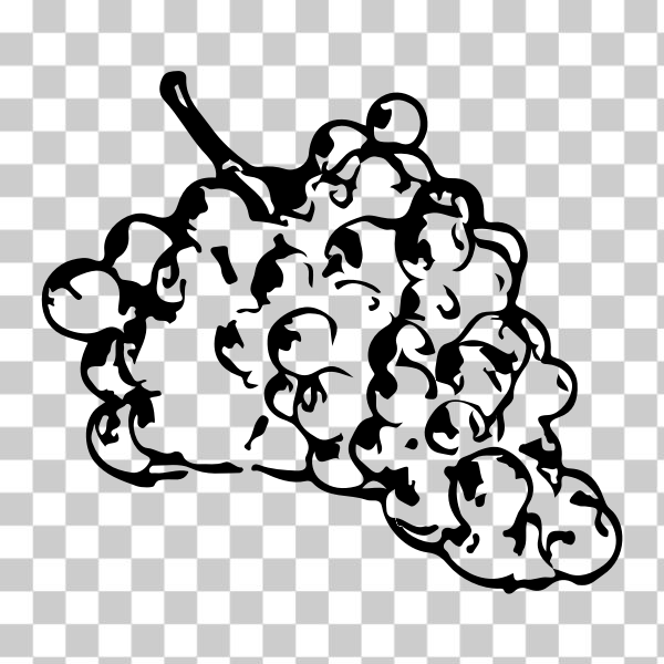 Free: SVG Grapes line art vector clip art - nohat.cc