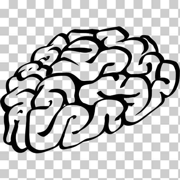 Free: SVG Hand drawn human brain vector drawing - nohat.cc