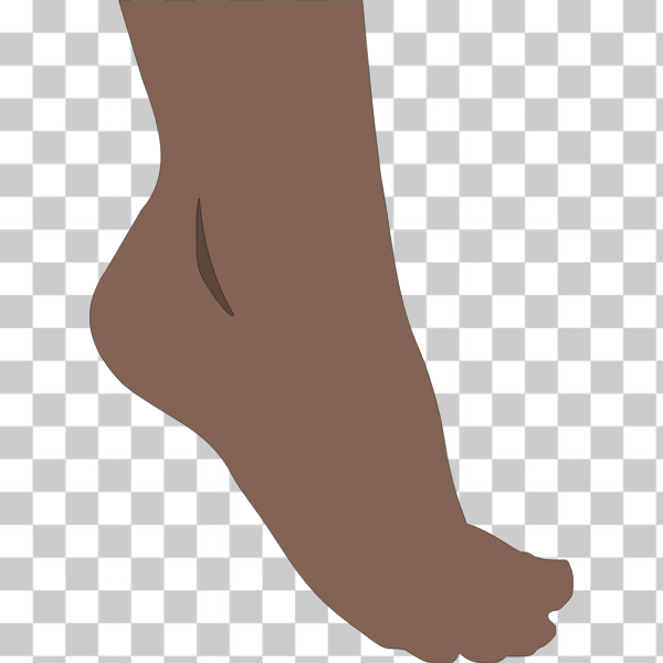 Free: SVG Human foot vector image - nohat.cc