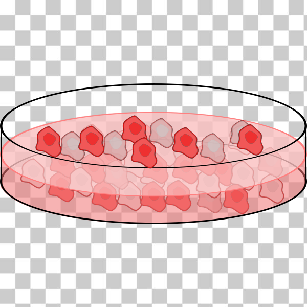 Free: SVG Image of cell culture dish - nohat.cc