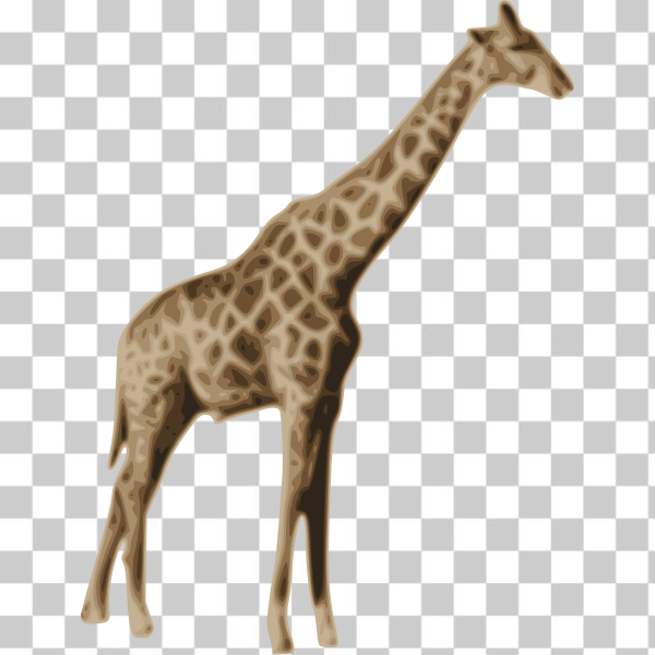 Free: SVG Jirafa - nohat.cc