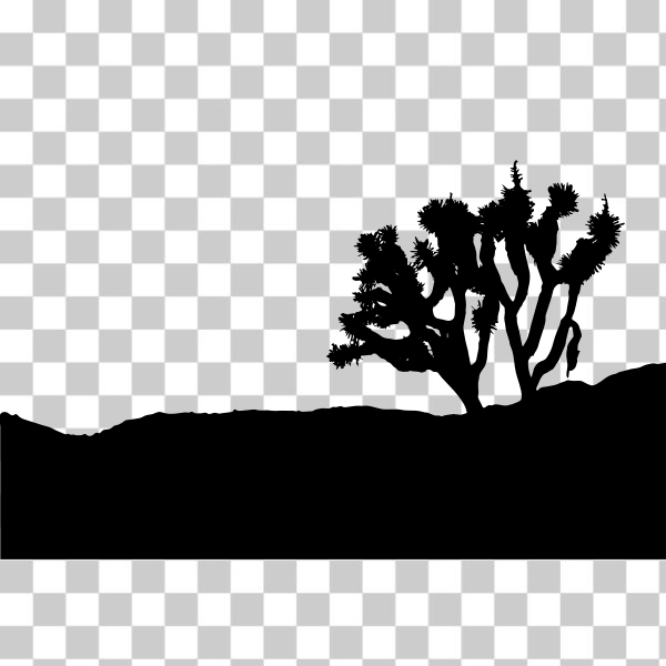 Free: SVG Joshua tree - nohat.cc