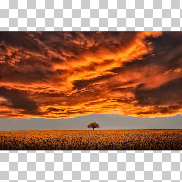 Free: SVG Lone Tree Under A Scorched Sky - nohat.cc