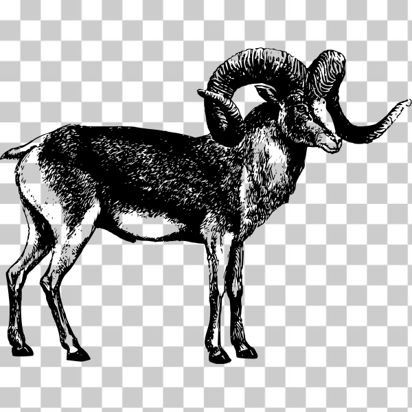 Free: SVG Male goat vector illustration - nohat.cc