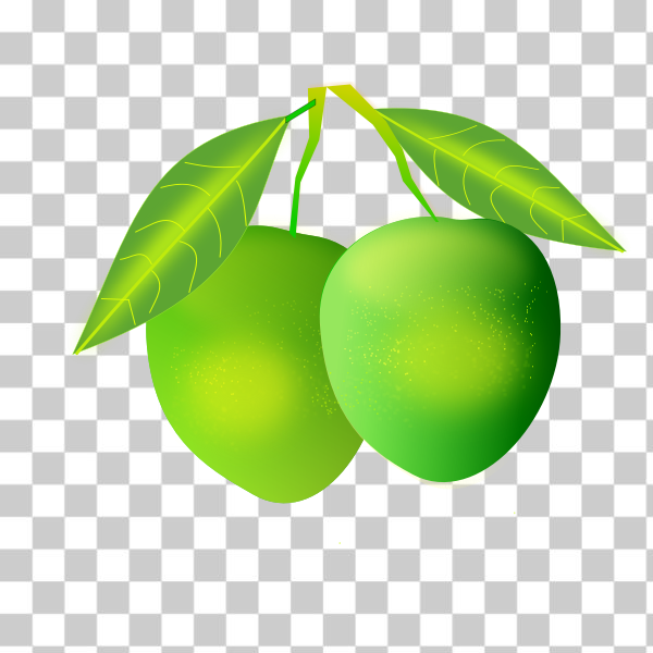 Free: SVG Mango vector image - nohat.cc