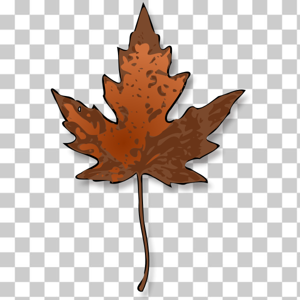 Free: SVG Maple Leaf - nohat.cc