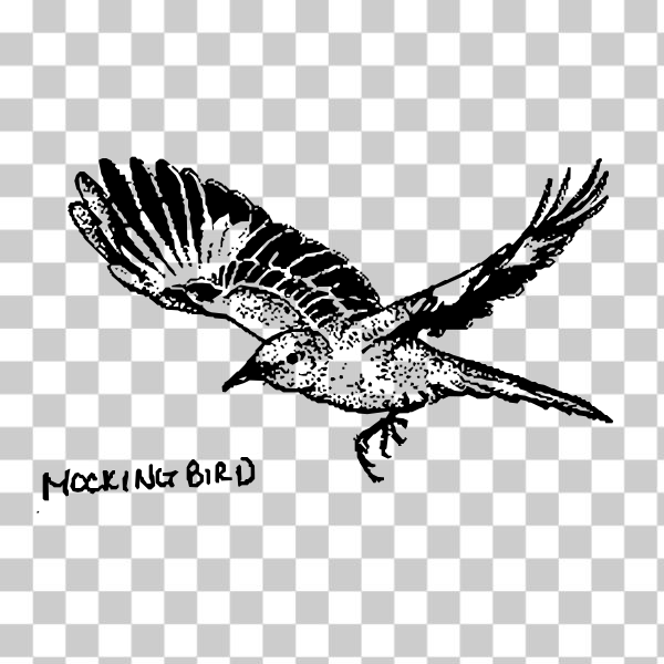 Free: SVG Mockingbird - nohat.cc