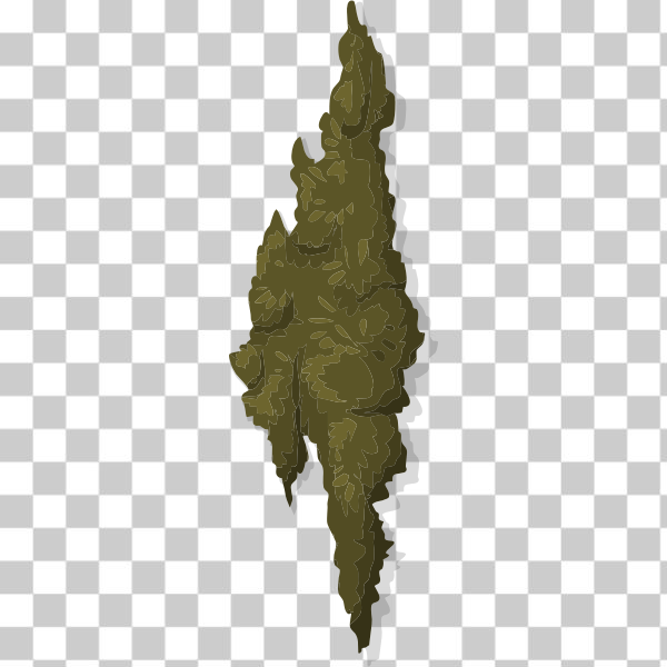 Free: SVG Moss vector clip art - nohat.cc