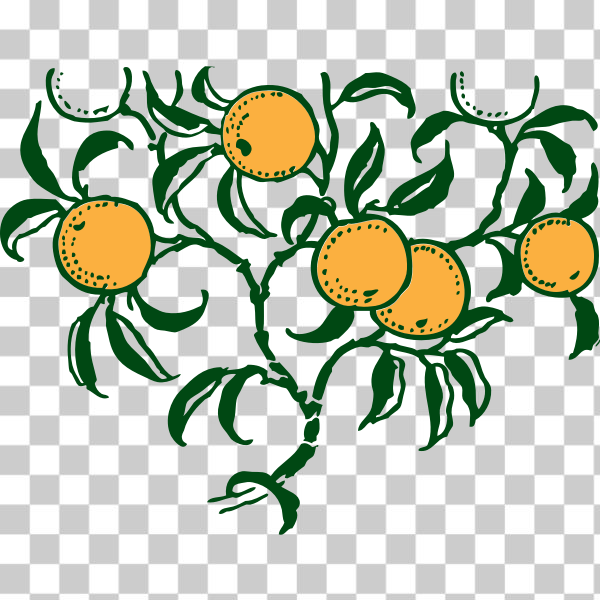 Free: SVG Orange branch vector graphics - nohat.cc