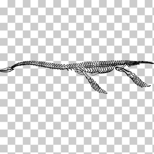 Free: SVG Plesiosaurus skeleton - nohat.cc