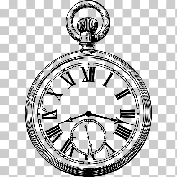Free: SVG Pocket watch vector graphics - nohat.cc